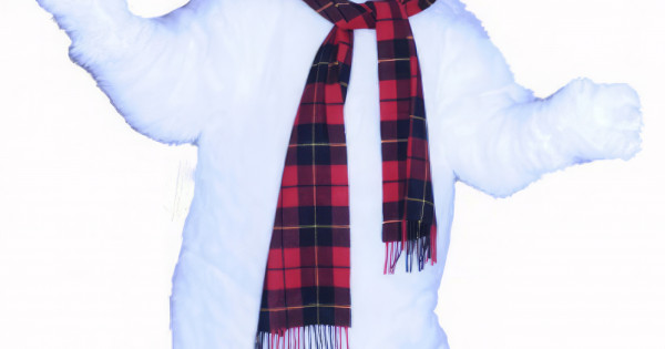 Snow Bear Mascot Costume 650