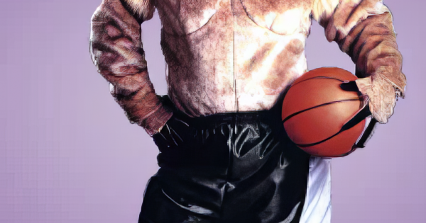 Pro Wildcat Mascot Costume 320