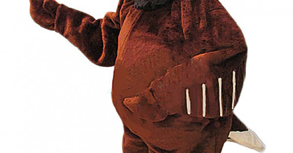 Canadian Goose Mascot Costume 3202-Z