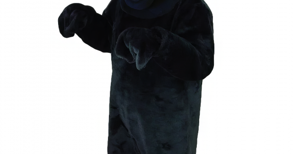 Pantera Panther Mascot Costume 43704