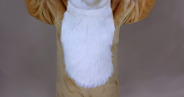 Tan Bobcat Mascot Costume 43705