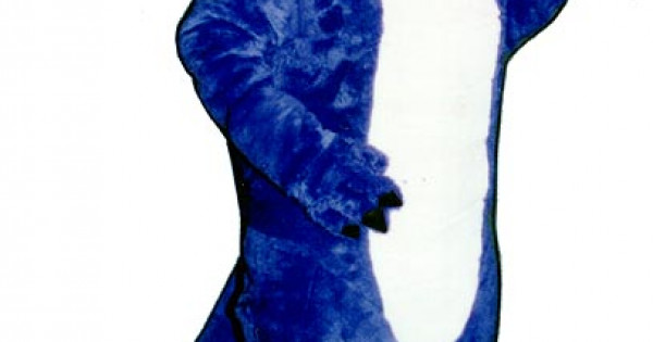 Darwin Dinosaur Mascot Costume 126-Z