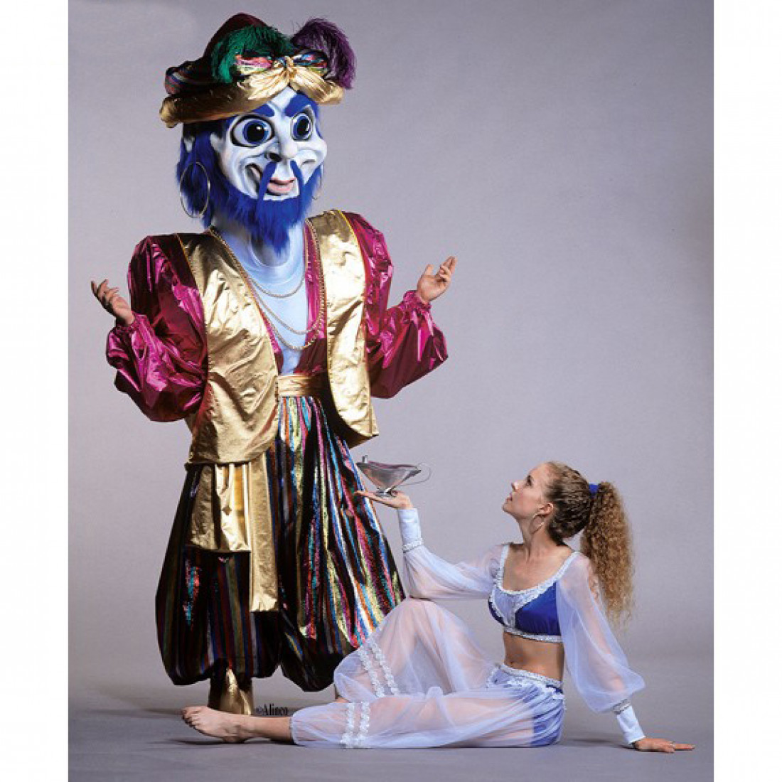 Genie Mascot Costume 180