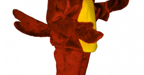 Road Runner with Shoes Mascot Costume 464A-Z