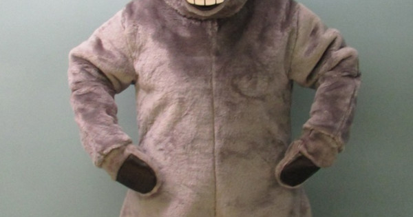Dopey Donkey Mascot Costume 1510-Z