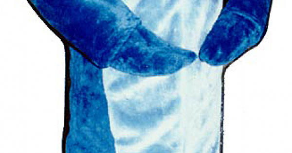 Barracuda Mascot Costume 3302-Z