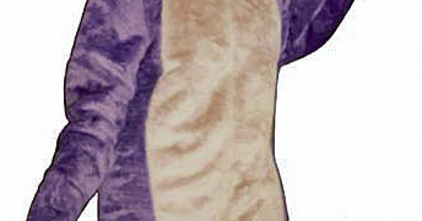 Purple Killer Shark Mascot Costume 3312KK-Z