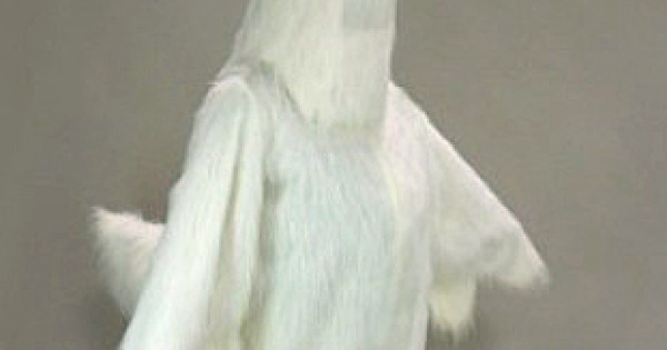 Swan Mascot Costume 42461-U