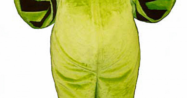 Hummingbird Mascot Costume 443-Z