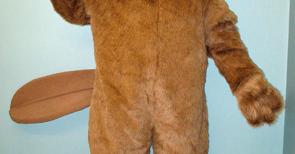 Beaver Mascot Costume MM06-Z