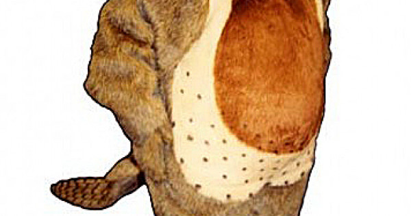 Pheasant Mascot Costume 442-Z