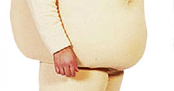 20202f-fat-suit-1332-600x315w.jpg
