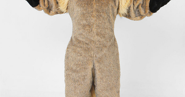 Pro Line Badger Mascot Costume #341