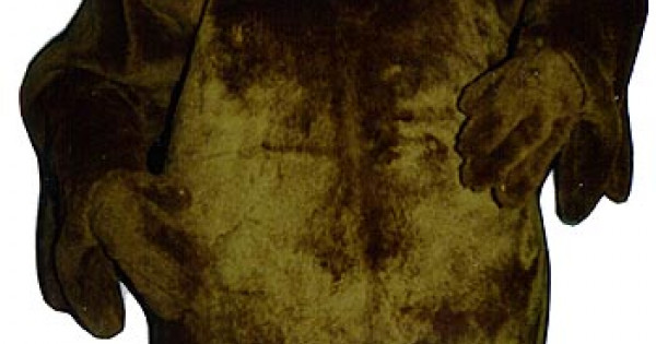 Dodo Bird Mascot Costume 2949-Z