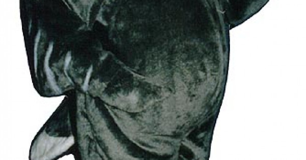 Allen Albatross Mascot Costume 431-Z