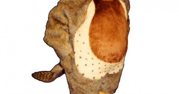 Other Bird Mascot Costumes