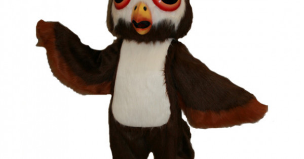 Owls & Desert Bird Mascot Costumes
