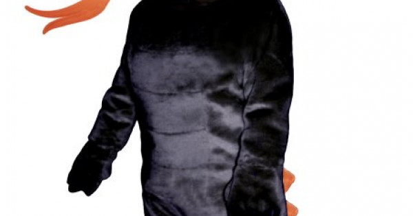 Fire Dragon Mascot Costume 917-Z