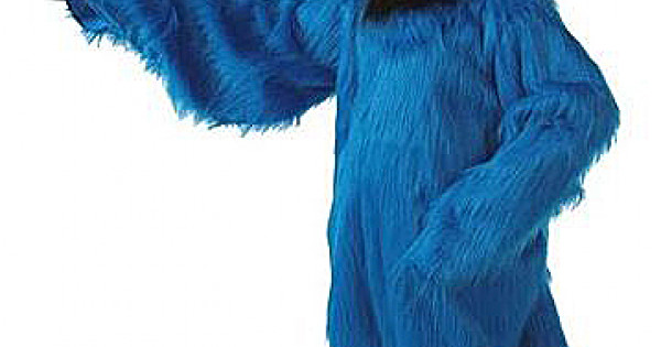 Blue Jay Mascot Costume 519