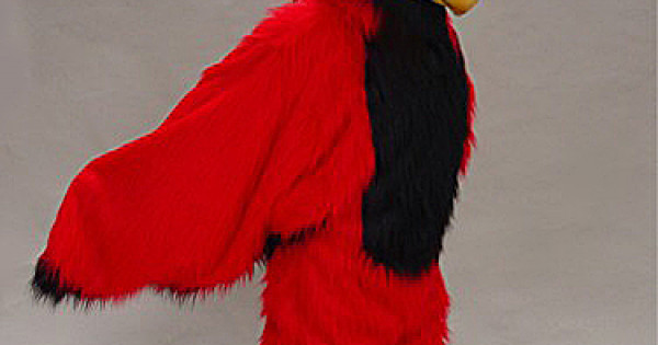 Fierce Cardinal Mascot Costume 42047