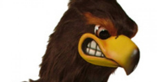 Hawks & Other Bird Mascot Costumes