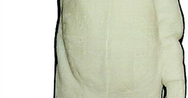 Alaskan Bear Mascot Costume 231-Z