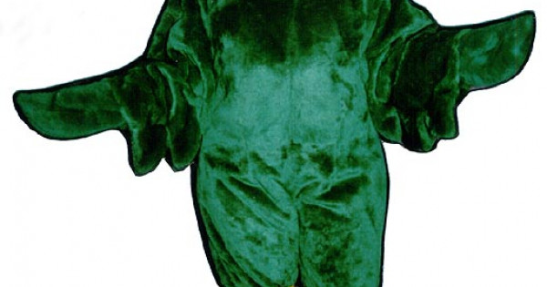 Pedro Parrot Mascot Costume 434-Z