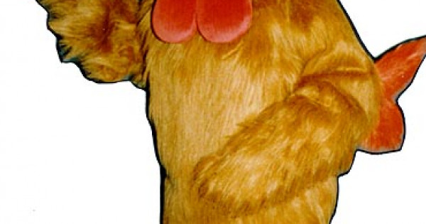 Rhode Island Red Mascot Costume 622-Z