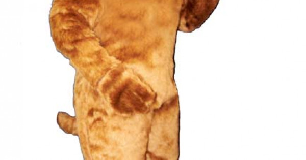 Danny Dog Mascot Costume 854-Z