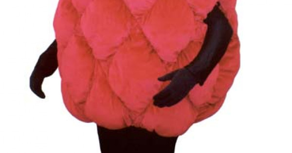 Fresh Raspberry (Bodysuit not included) Mascot Costume FC092-Z