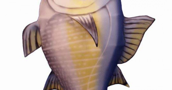 Tuna Fish Mascot Costume FC98-Z