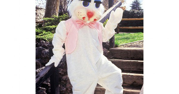 Peter Rabbit Costume Mascot Costume 100